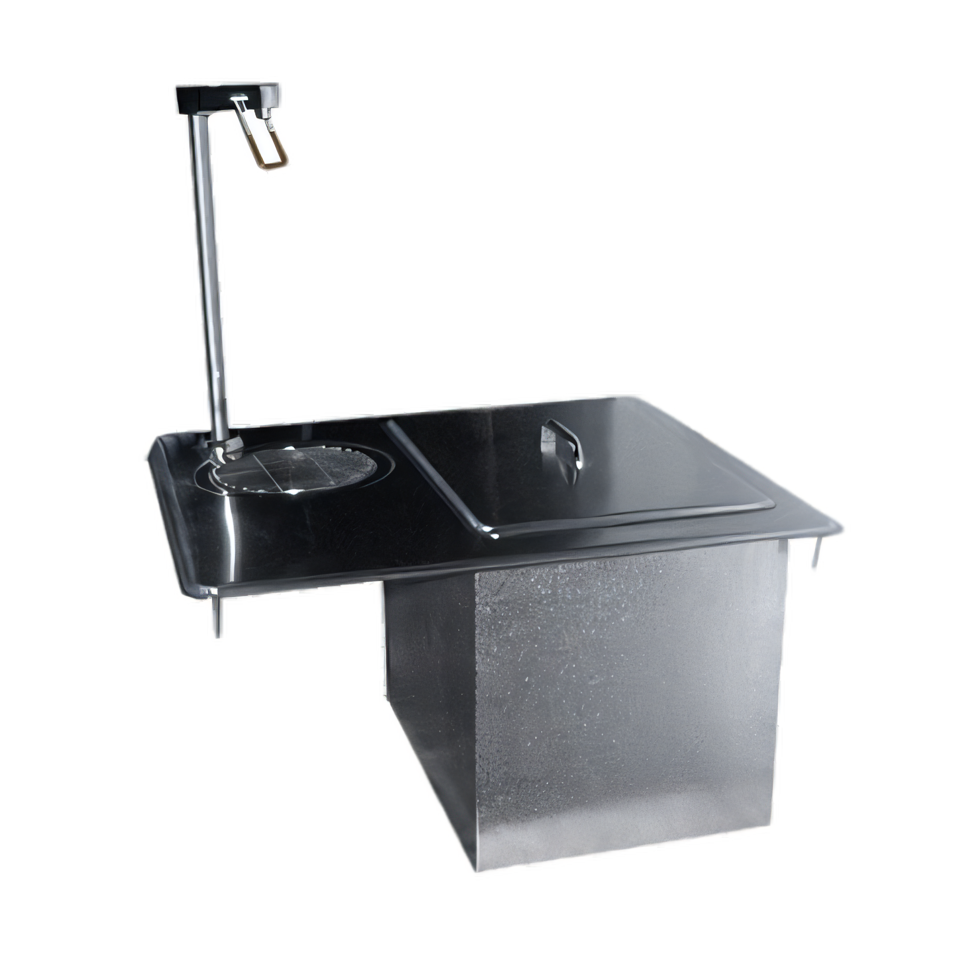 Delfield 204-P Drop-In Single-Service Water and Ice Station with Pitch ...